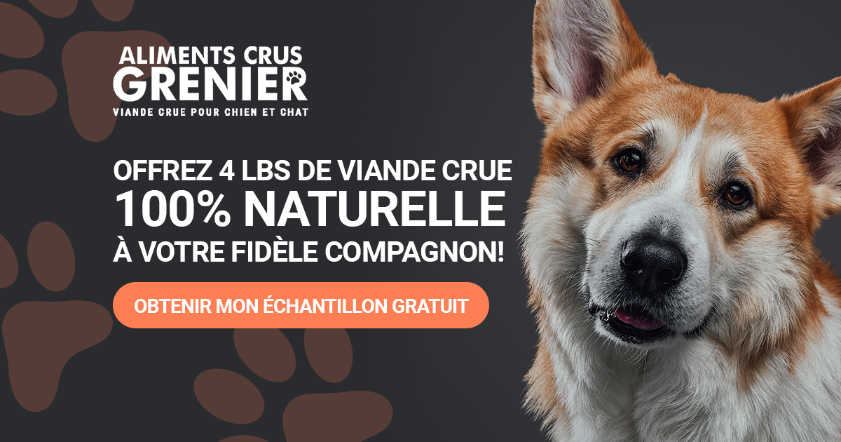Échantillon gratuit 🐾